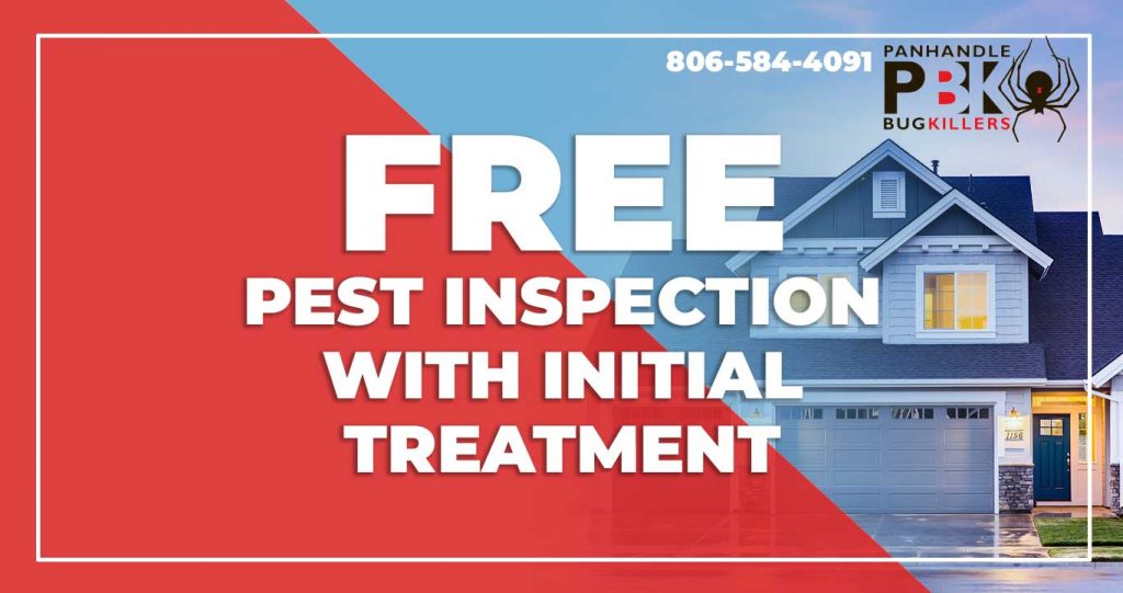 FREE Pest Inspection | Panhandle Bug Killers